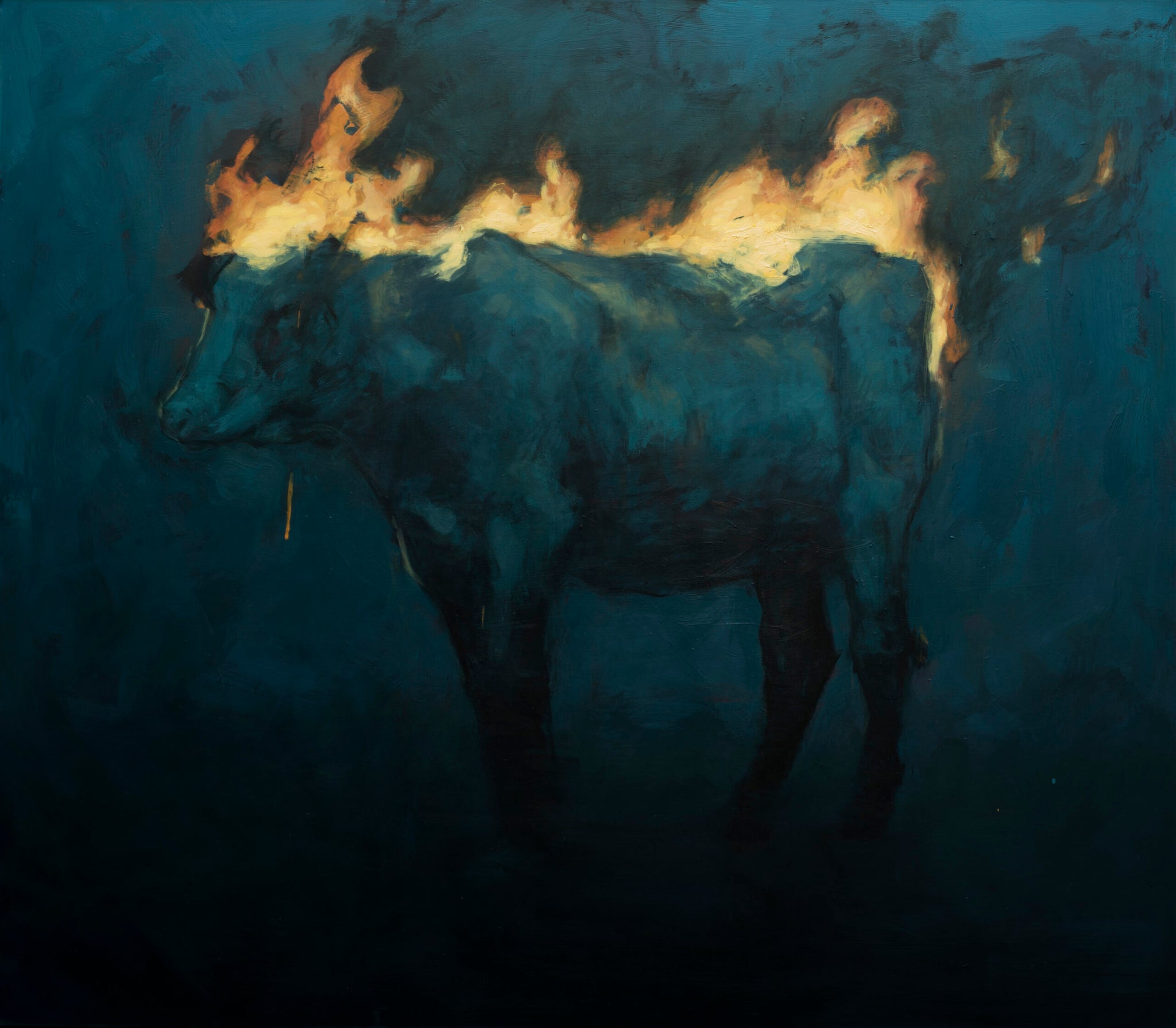 Burning Cow – Kunst ab Hinterhof